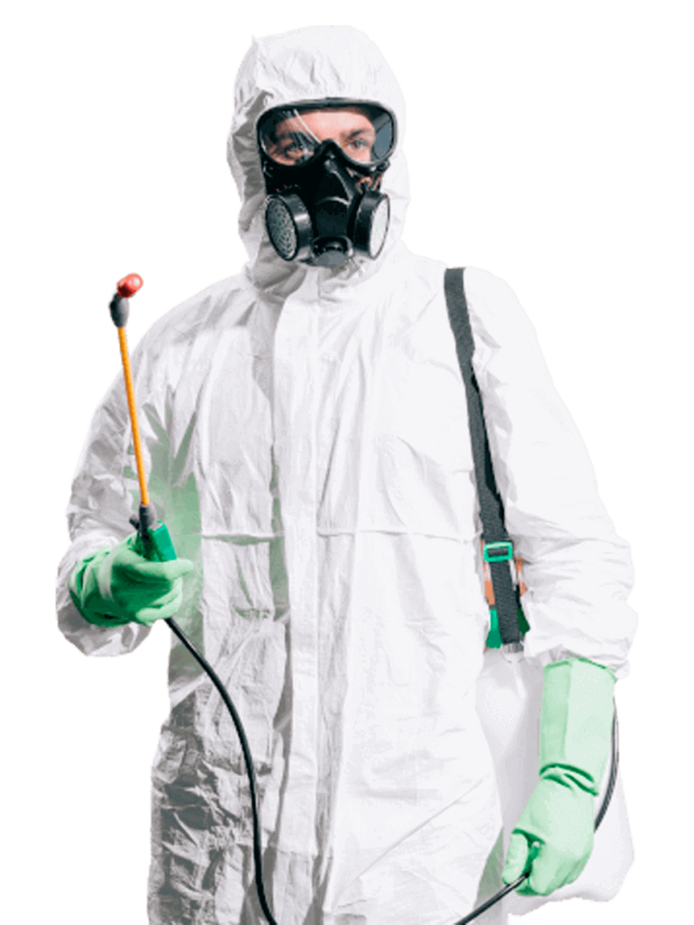 Disinfection in Malaga - Fumicosol ® Problems with dirt?